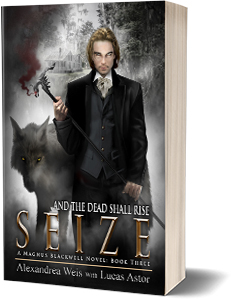 Review - Seize | Rachel’s Reflections