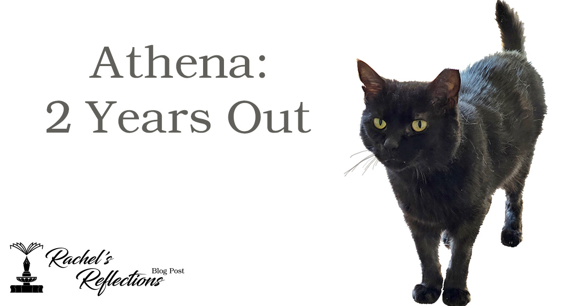 Athena: 2 Years Out | Rachel’s Reflections