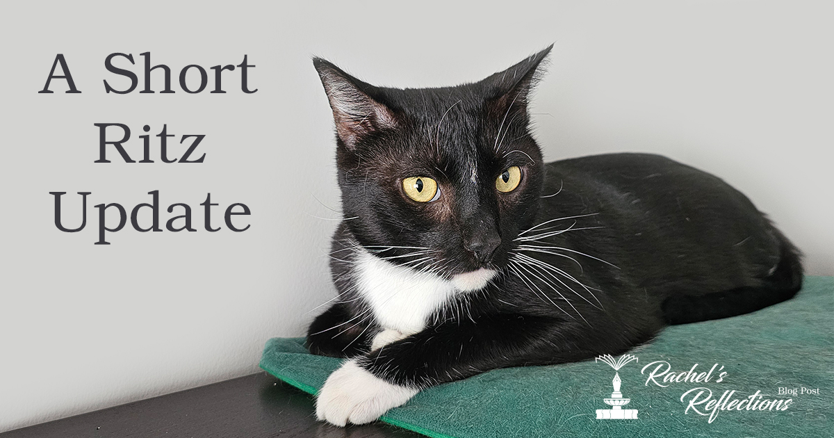 A Short Ritz Update | Rachel’s Reflections